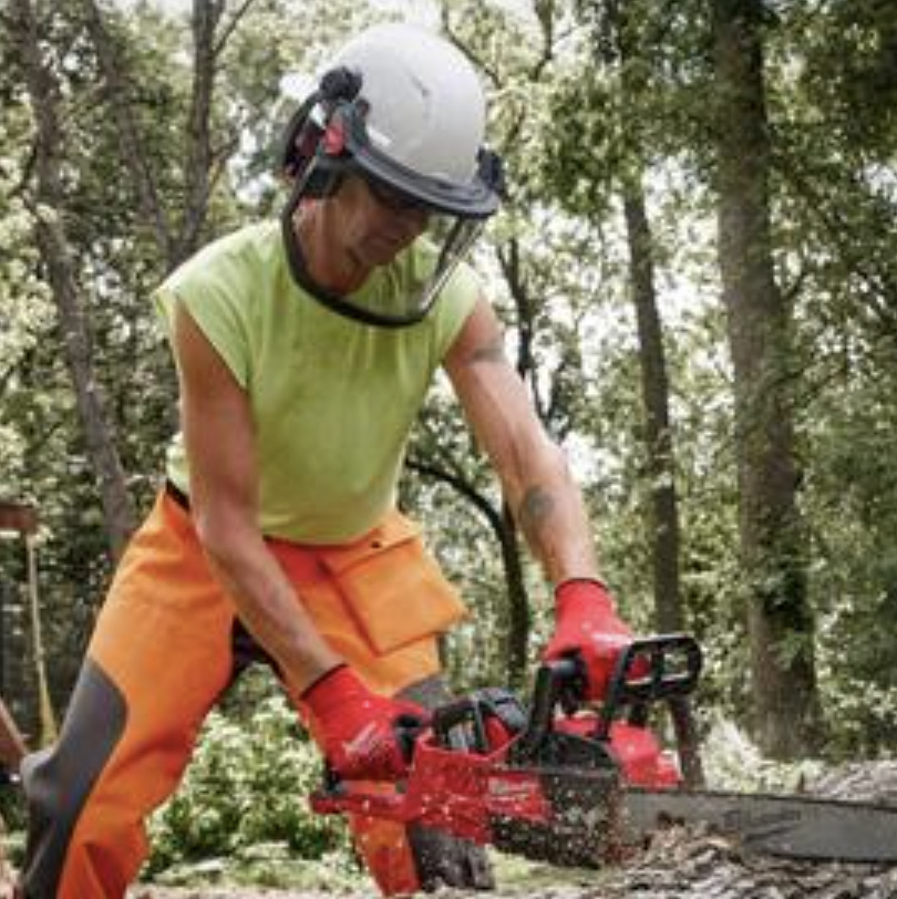 CHAINSAWING FOR GREENHORNS - Town of Guilford, Vermont